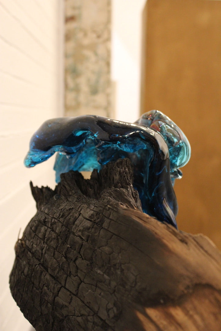 Excrescence: the promise of growth – Paraph Studio